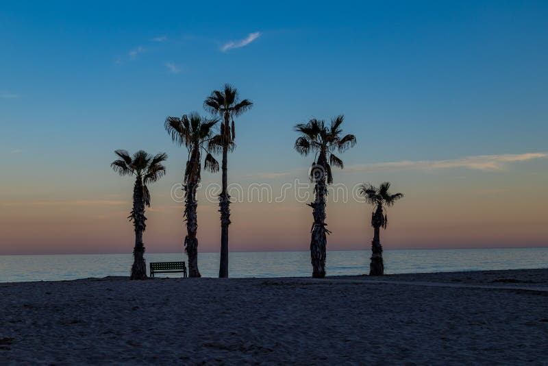 Seaside Landscape Peace and Quiet Sunset and Four Palm Trees on the ...