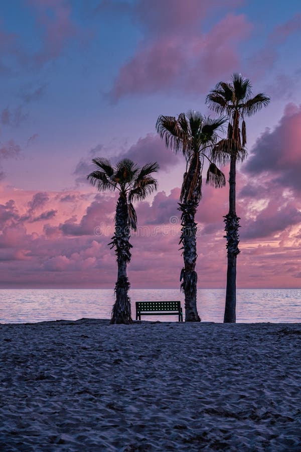 Seaside Landscape Peace and Quiet Sunset and Four Palm Trees on the ...
