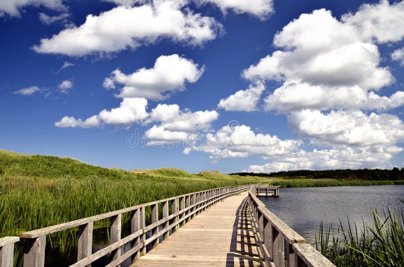 Seaside marsh boardwalk stock image. Image of atlantic - 21408543
