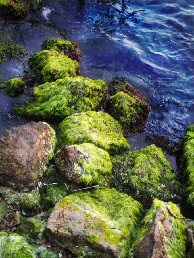 Mossy Rocks Waterfall stock photo. Image of nature, flow - 56935504
