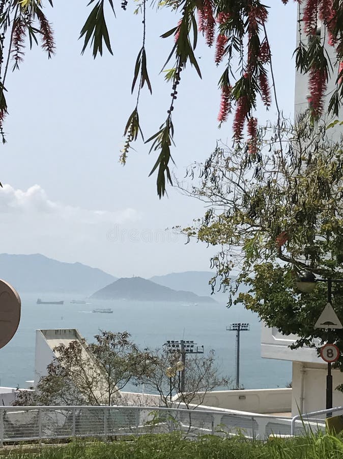 Spring walk in Hong Kong stock image. Image of mountain - 110462603