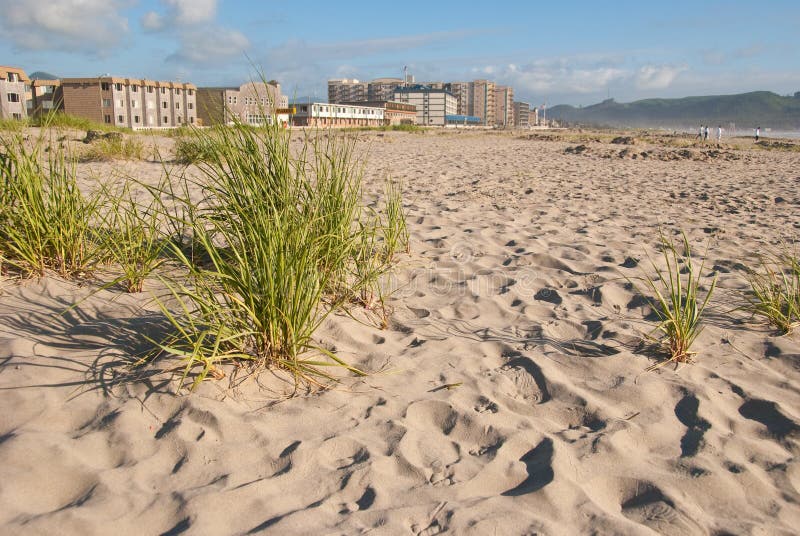 Seaside, Oregon stock image. Image of green, coastline - 15203893