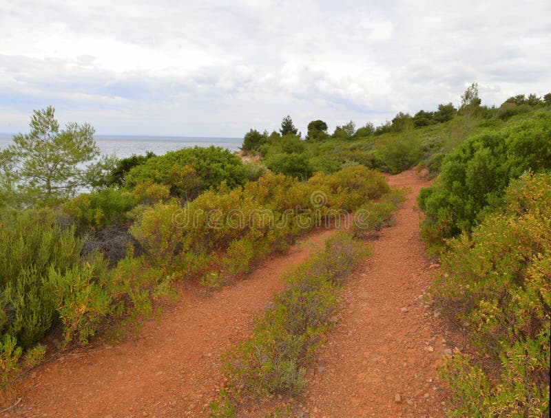 Seaside path stock image. Image of natural, seaside, path - 41524995