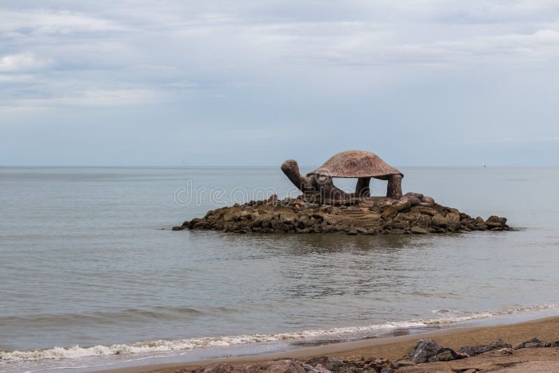 196 Pavilion Turtle Stock Photos - Free & Royalty-Free Stock Photos ...