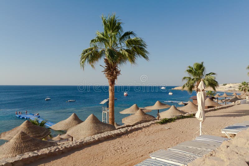 Seaside of Red sea stock image. Image of seaside, fitness - 31108113