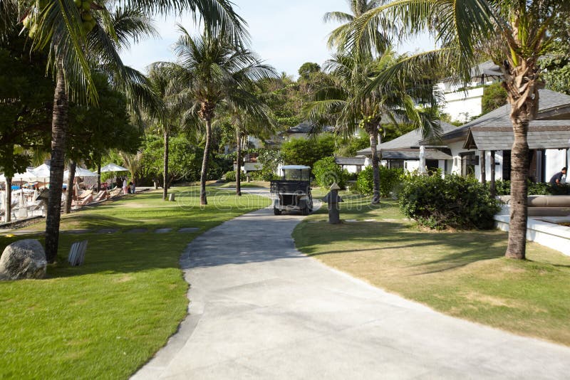 Seaside resort stock photo. Image of white, tree, destination - 40390852