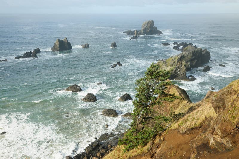 Seaside rocks stock image. Image of coast, wave, stack - 25505179