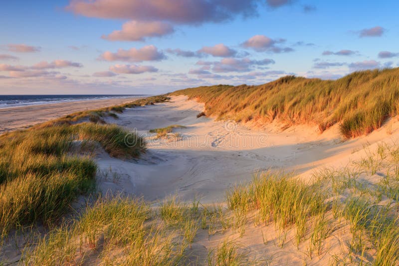 Seaside with Sand Dunes at Sunset Stock Image - Image of beach, dusk ...