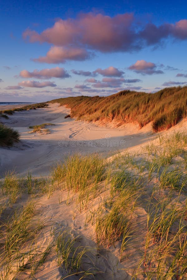 Seaside with Sand Dunes at Sunset Stock Image - Image of beach, dusk ...