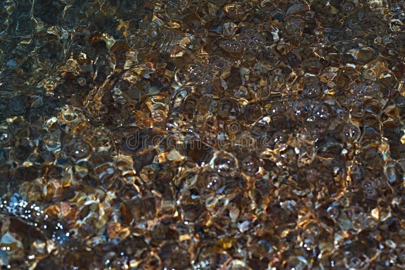 Seaside. Sea bottom stock image. Image of bright, amazing - 229492371