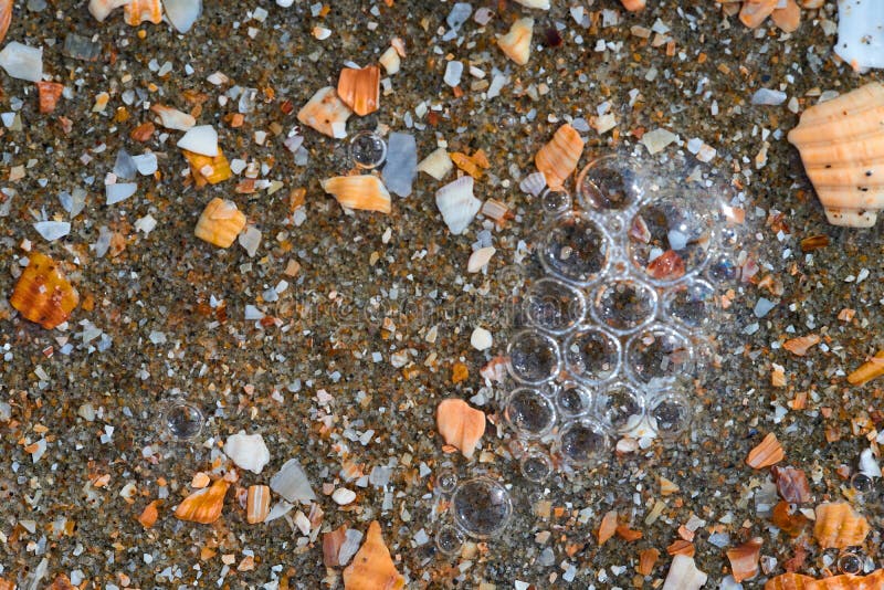 Seaside. Shell Rock. Background Stock Photo - Image of inborn ...