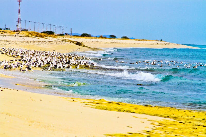 Seaside and the water stock photo. Image of outdoor, nature - 50828582