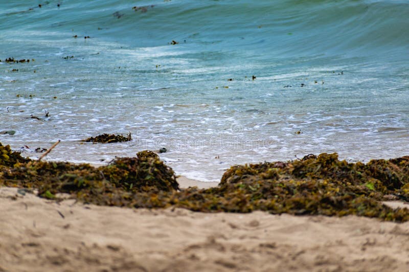 Seaside and Waves, Beach with Sand, Water, Shell Stock Image - Image of ...