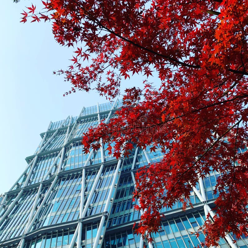 Season change, Season