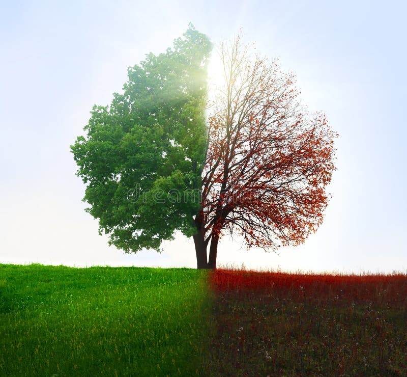 Season Change. from Summer To Autumn. Stock Photo - Image of scene ...