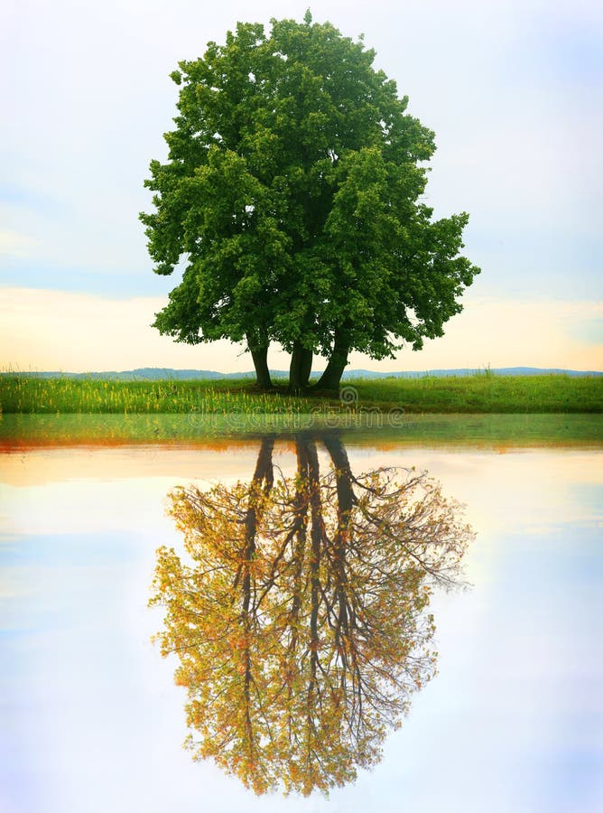 Season Change. from Summer To Autumn. Stock Photo - Image of foliage ...