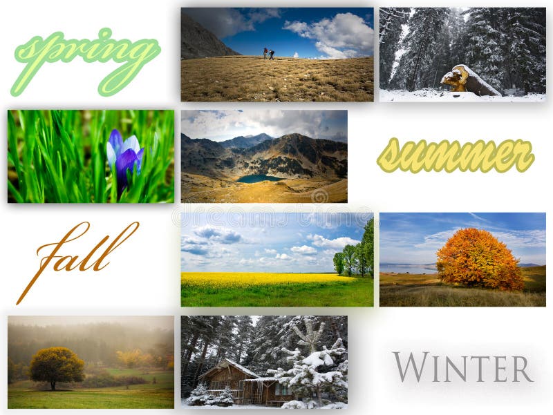 Spring collage stock image. Image of montage, branch - 17376107