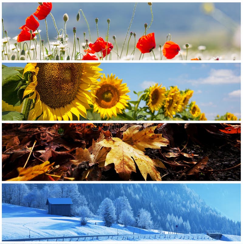 Season collage stock image. Image of autumn, sunny, grassland - 54187611