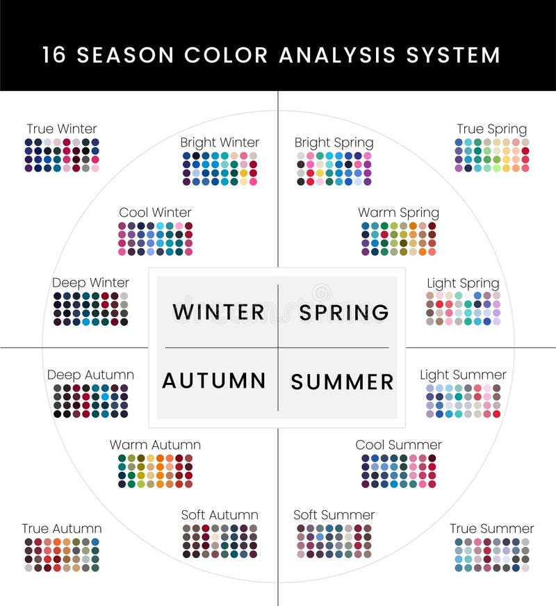Season Color Analysis System Palettes Stock Illustrations – 5 Season ...
