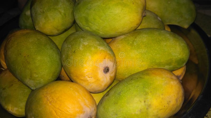 Season Mango stock photo. Image of green, yummy, cuntry - 118159966
