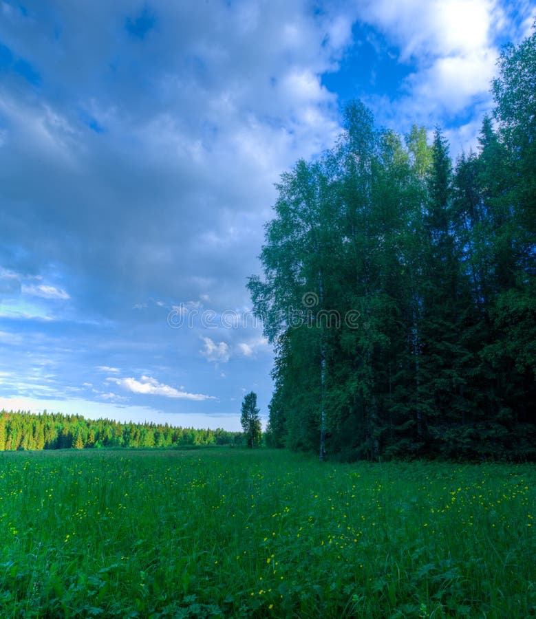 Season Summer Forest Clearing Clouds Sky Panorama Stock Photo - Image ...