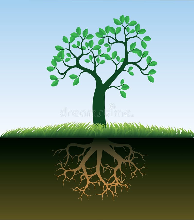 Season Tree with Roots on Green Grass. Vector Illustration Stock Vector ...