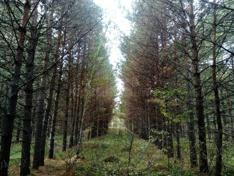 Pron Photod Free Stock Photos - Free & Royalty-Free Stock Photos from ...