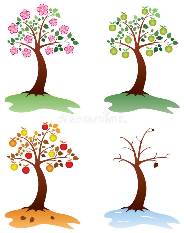 Parts of Plant. Morphology of Apple Tree with Root System, Flowers ...