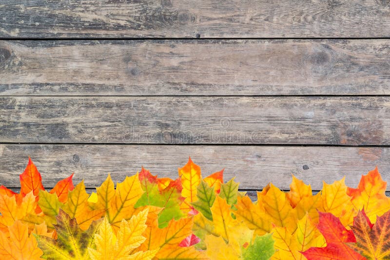 Seasonal Fall Backdrop stock image. Image of decor, banner - 76313421