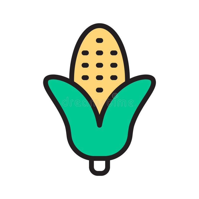 Corn stock vector. Illustration of healthy, yellow, agriculture - 337294546