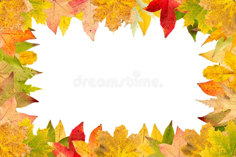 Seasonal Frame of Autumnal Maple Leaves Isolated on White Stock Photo ...