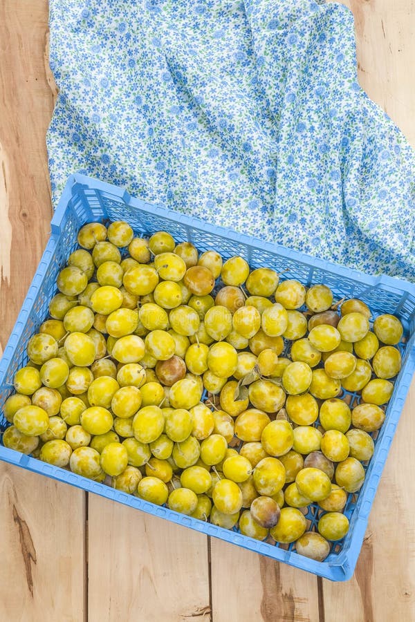 Seasonal Plum in Box on the Wooden Backround Stock Photo - Image of ...