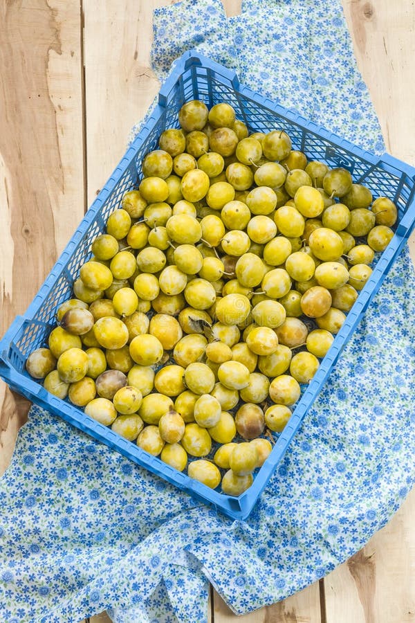Seasonal Plum in Box on the Wooden Backround Stock Image - Image of ...