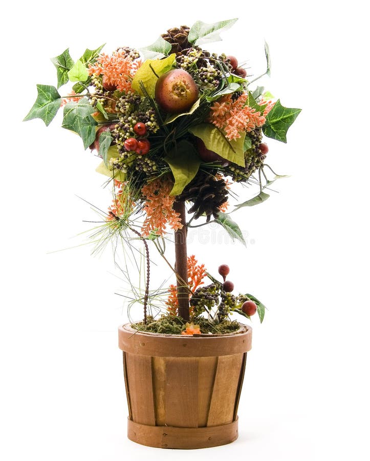 Seasonal Potted Tree stock image. Image of plants, home - 11899461