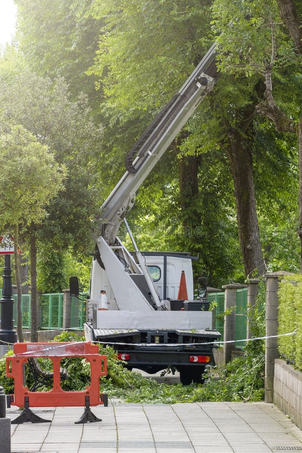 Seasonal Tree Pruning with a Lifting Work Platform of Hydraulic Car ...