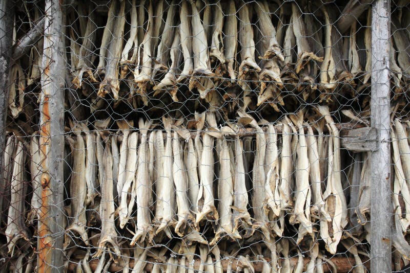 Seasoning Arctic cod stock photo. Image of naval, food - 45906382