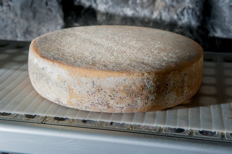 Aged cheese stock photo. Image of flavor, europe, fontina - 105657542