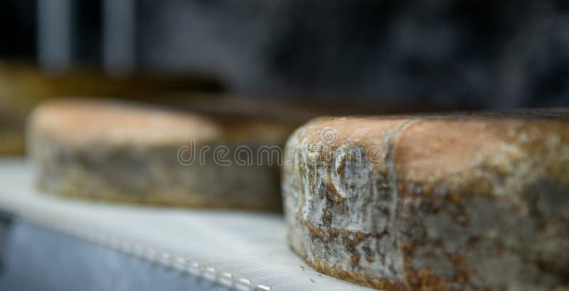 Cheese seasoning caves. stock image. Image of great, yellow - 92229539