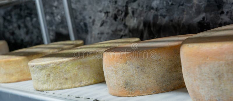 Seasoning of cheese stock image. Image of gourmet, dairy - 133409907