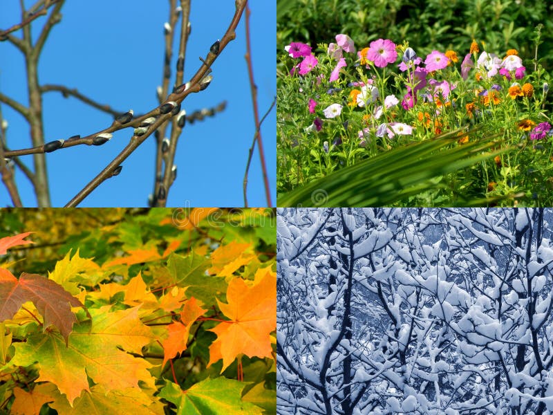 Seasons background stock photo. Image of color, branch - 3224706
