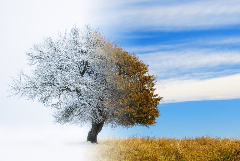 Changing Seasons Stock Illustrations – 3,167 Changing Seasons Stock ...