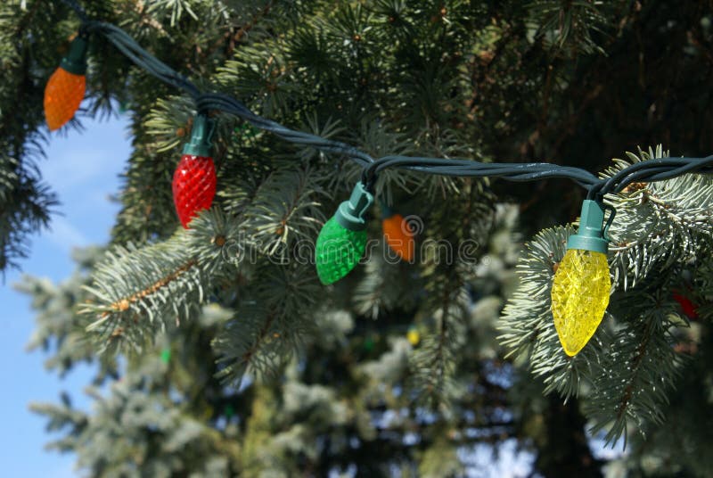 Christmas Tree Coming Down Stock Photos - Free & Royalty-Free Stock ...