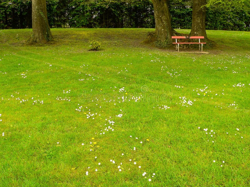 Seasons. Spring stock photo. Image of flowery, park, green - 71397250