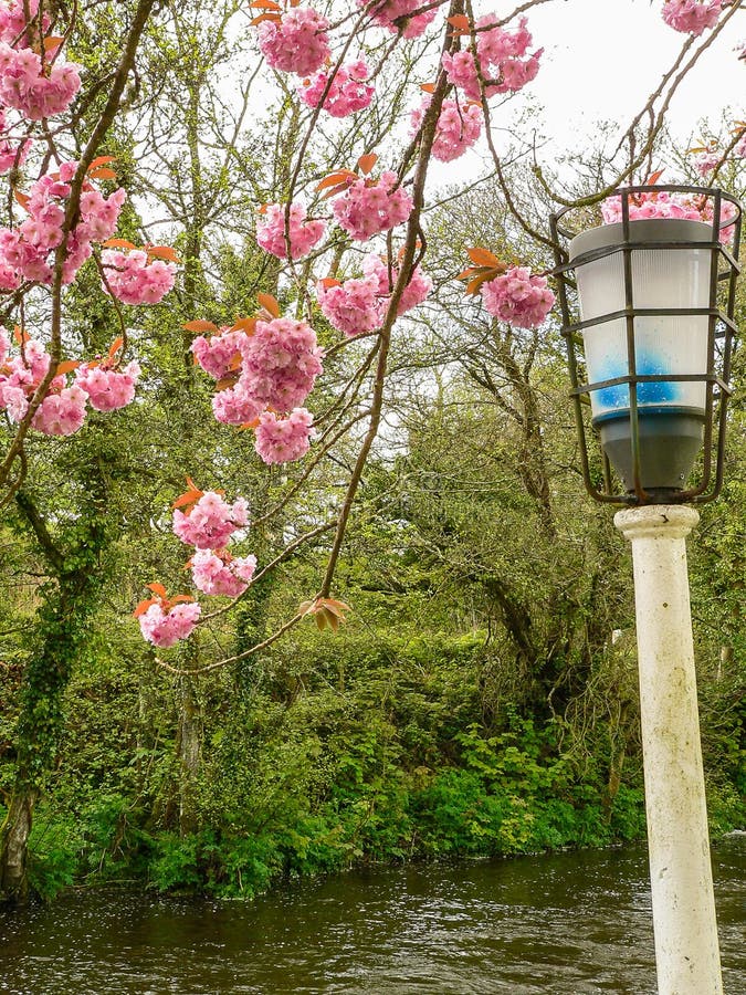 Seasons. Spring stock image. Image of springtime, park - 68048135