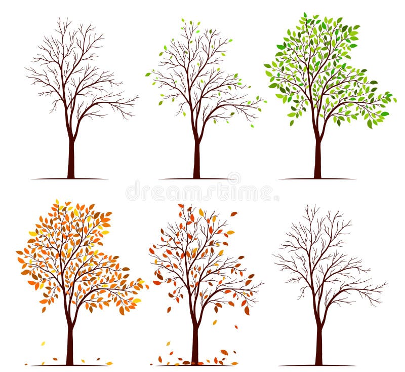 Seasons tree stock vector. Illustration of blossom, summer - 7150201