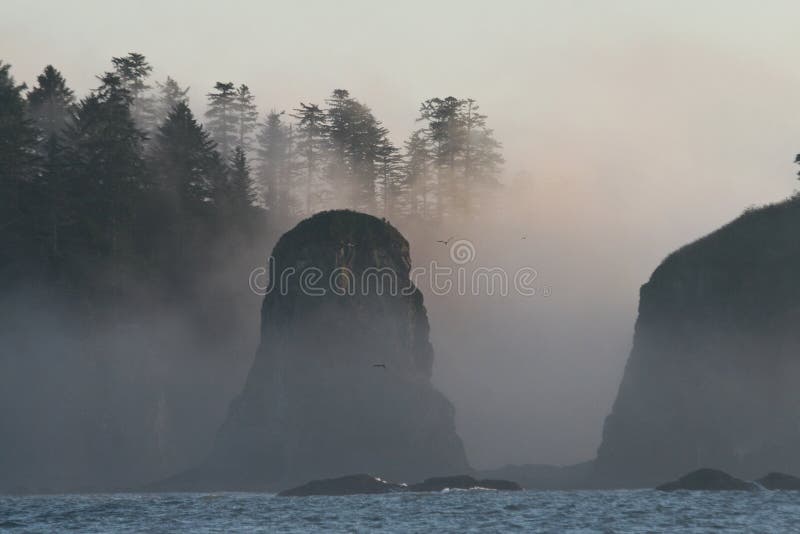 Seastacks on Wild Pacific Coast Stock Image - Image of park, wilderness ...