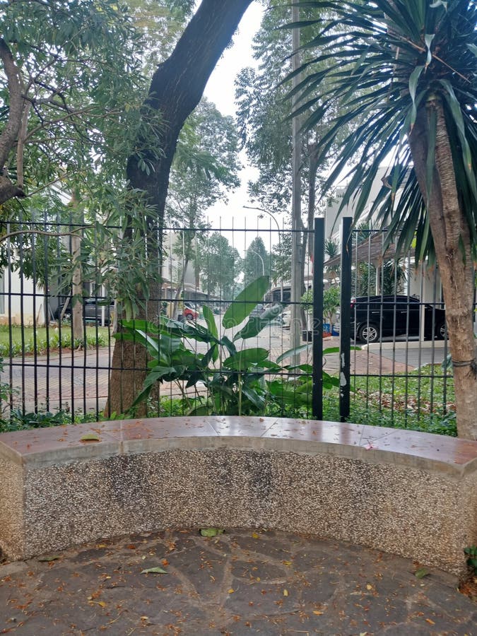 A Seat Around a Shady Tree with Leaf Litter Stock Image - Image of ...