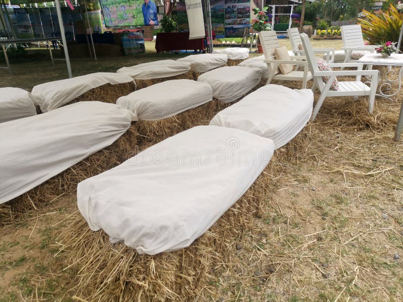 Compressed Straw Suitable for Background Stock Image - Image of stalk ...