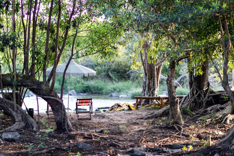 Seat in the Middle of the Forest is Calm and Cool Stock Image - Image ...