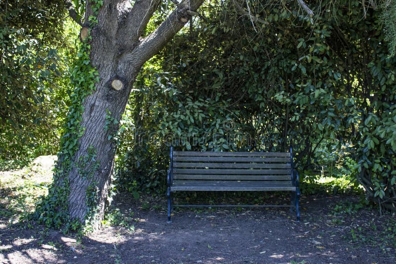 Seat Next To Tree. Shadow Place for Rest in Hot Weather Stock Image ...